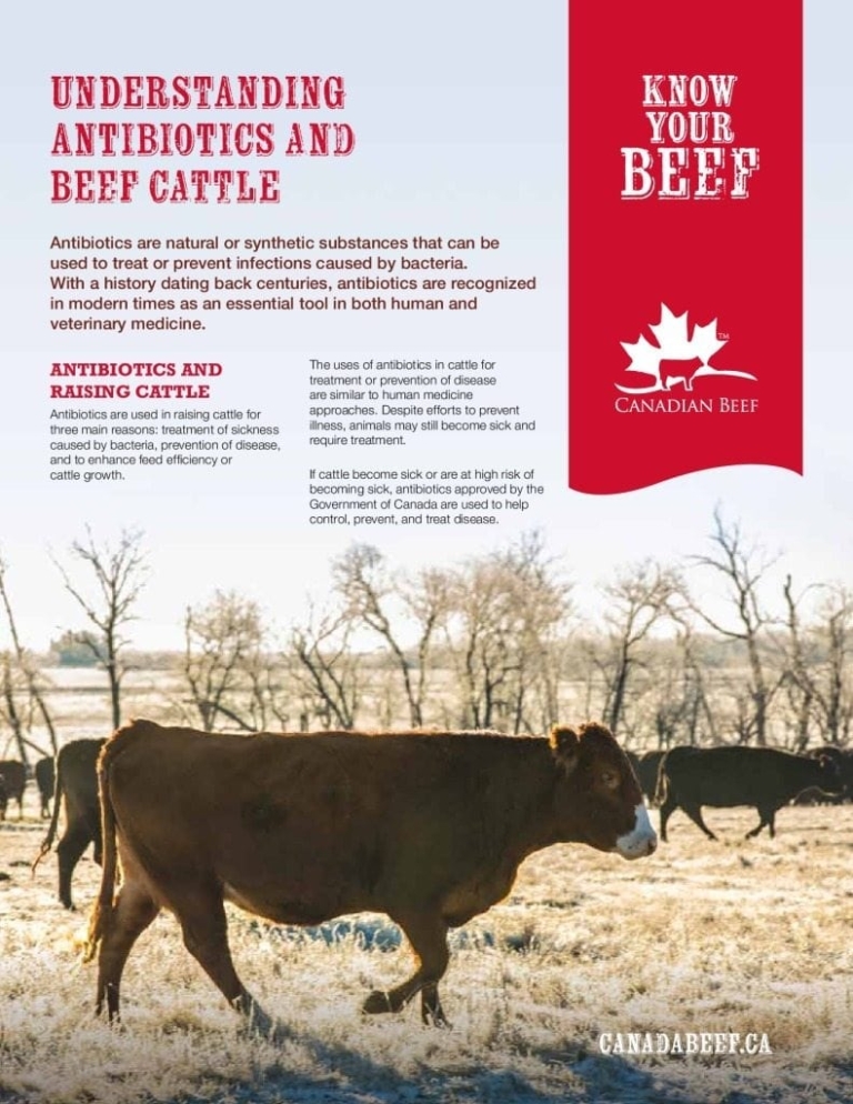 Facts and Resources-PDF - Canadian Beef | Canada Beef