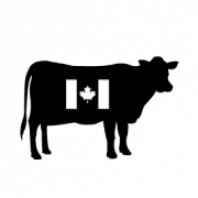 Our Team - Canadian Beef | Canada Beef