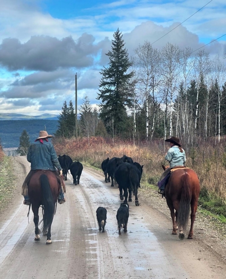 Meet the Farmer - Canadian Beef | Canada Beef